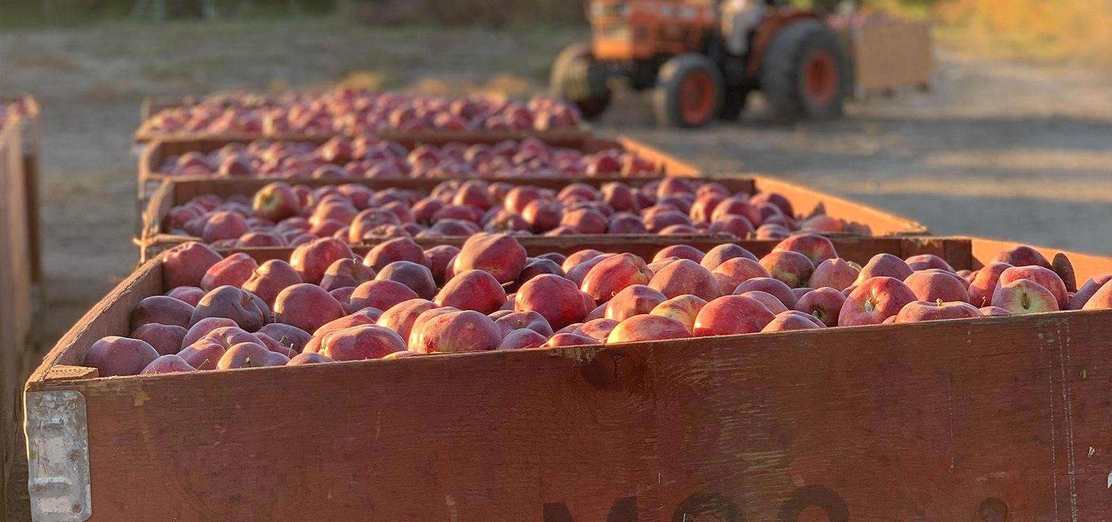 The Farm | Chelan Valley Farms
