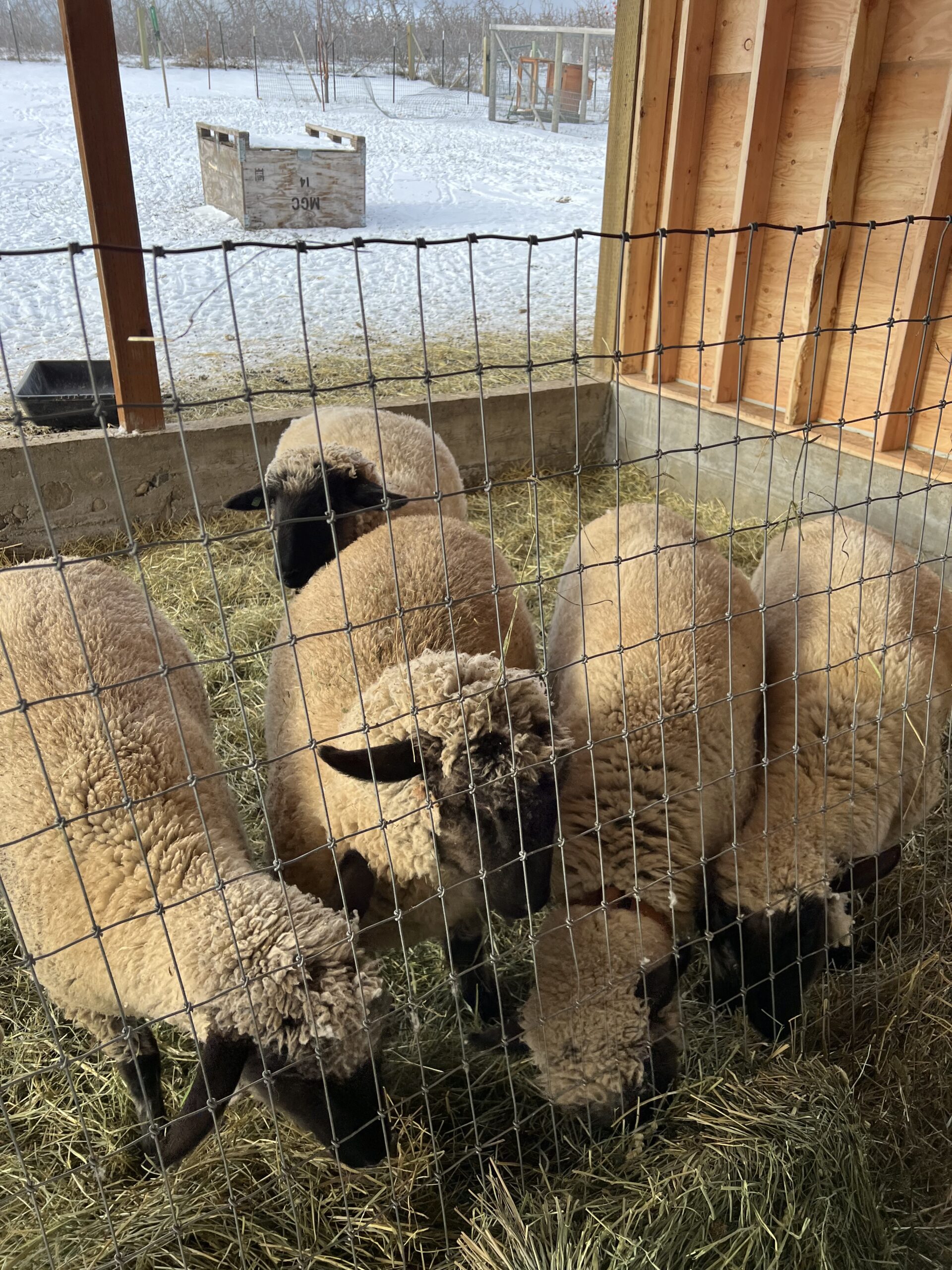Is Ecological Utopia Possible on Today's Farms?
